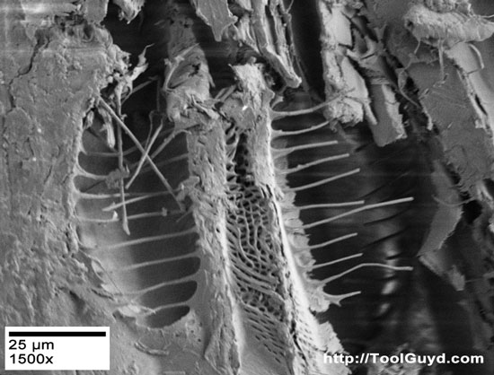 Maximum Magnification
