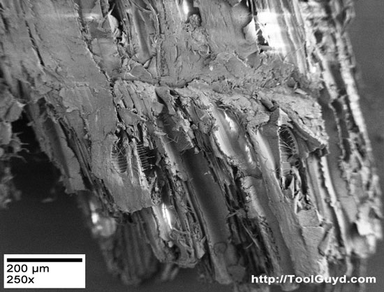 High-Magnification Microscope Images of a Wood Toothpick