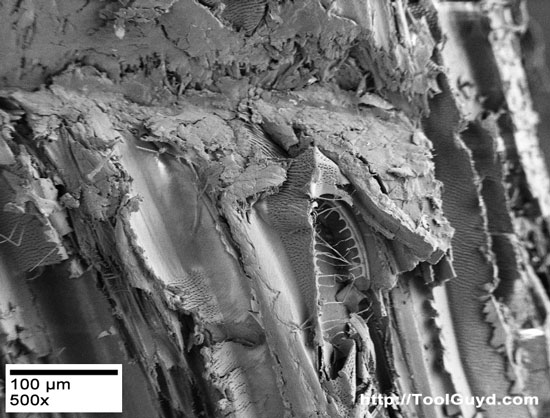 High-Magnification Microscope Images of a Wood Toothpick